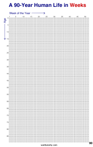 Your Life in Weeks — Wait But Why