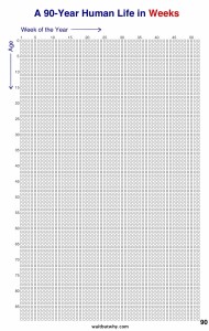 The Tail End — Wait But Why