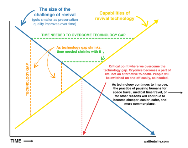 Why Cryonics Makes Sense — Wait But Why