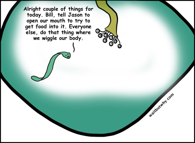 Neuralink and the Brain's Magical Future — Wait But Why