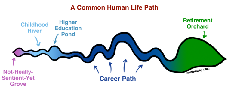 How to Pick a Career (That Actually Fits You) — Wait But Why