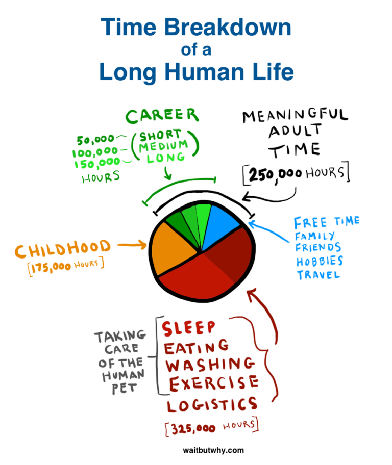 How to Pick a Career (That Actually Fits You) — Wait But Why