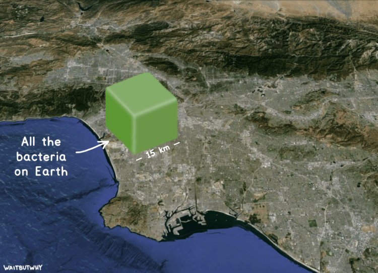 Mailbag #2 — Wait But Why